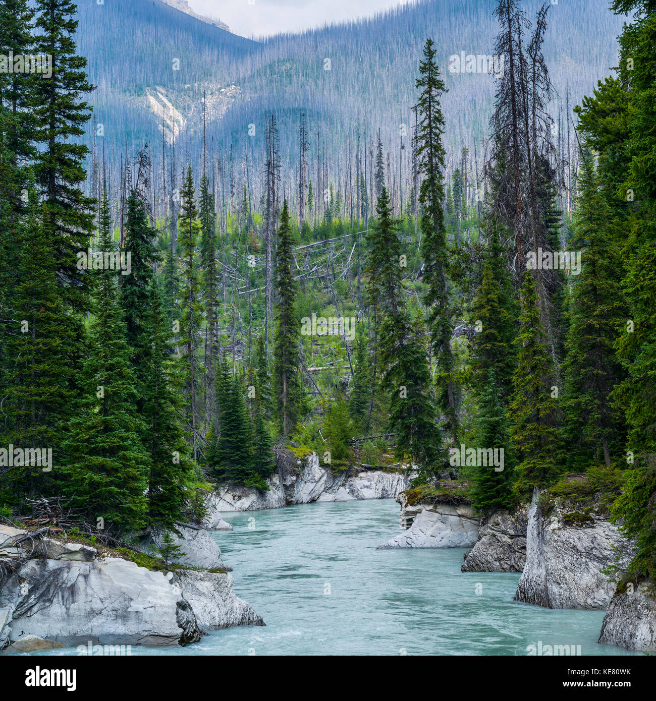 Jade green river hi-res stock photography and images - Alamy