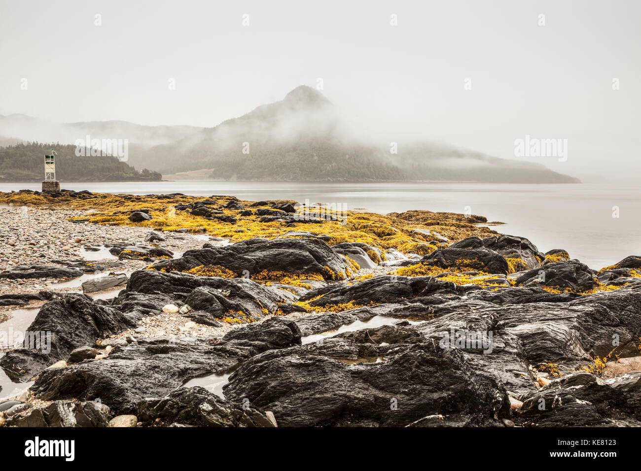 Seaweed and tide pools on the rocky shore along the Atlantic ocean ...