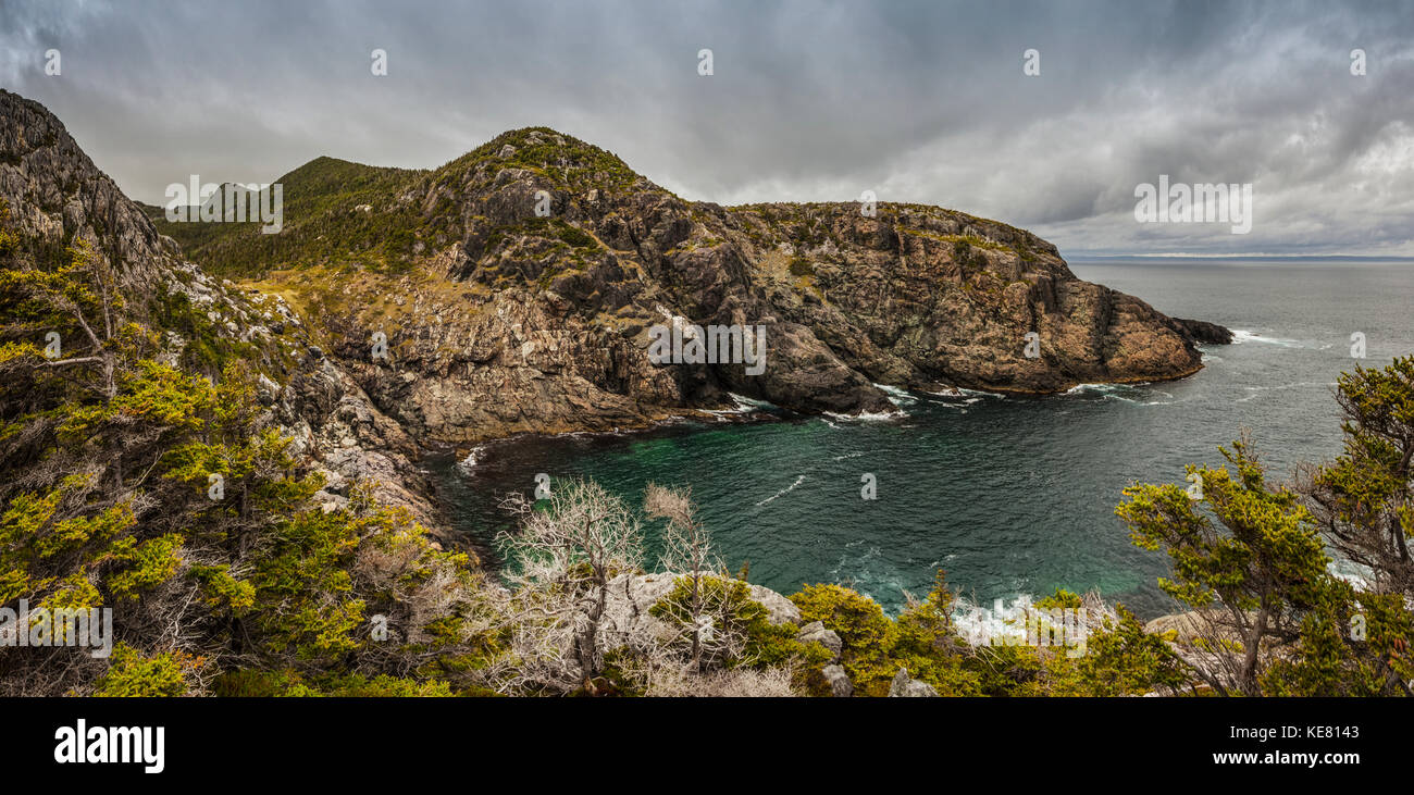 Rugged cliffs along the Atlantic coastline; Newfoundland, Canada Stock ...