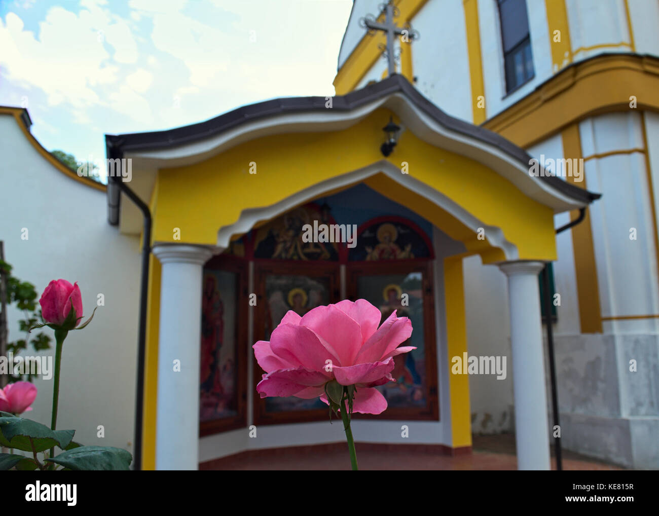 Pink rose in front of small open chapel in monastery Stock Photo - Alamy