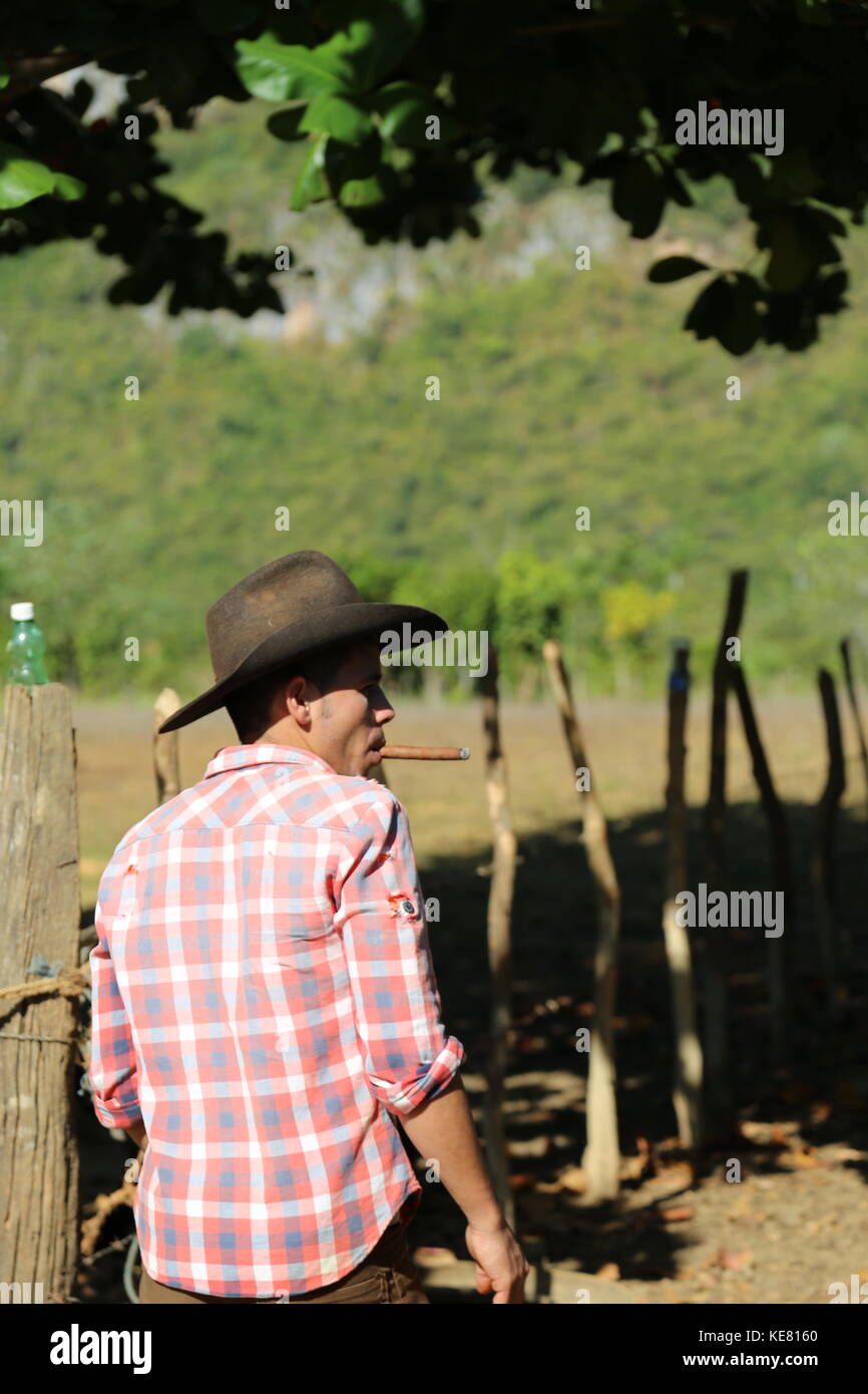 Cuban farmer smoking a cigar while giving a tour of his family farm ...
