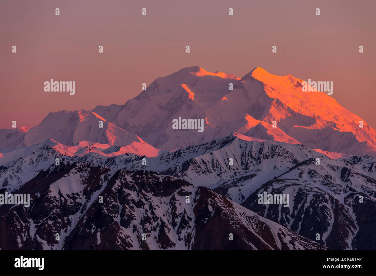 Sunset lights up Denali, viewed from a ridge near Polychrome Mountain ...