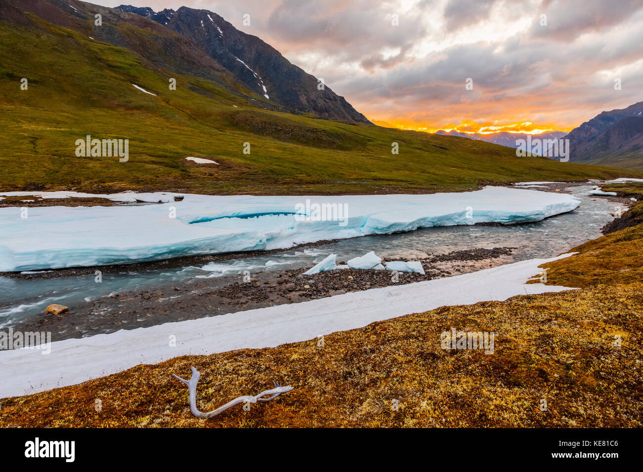 A caribou antler rests next to an unnamed fork of the Atigun River ...