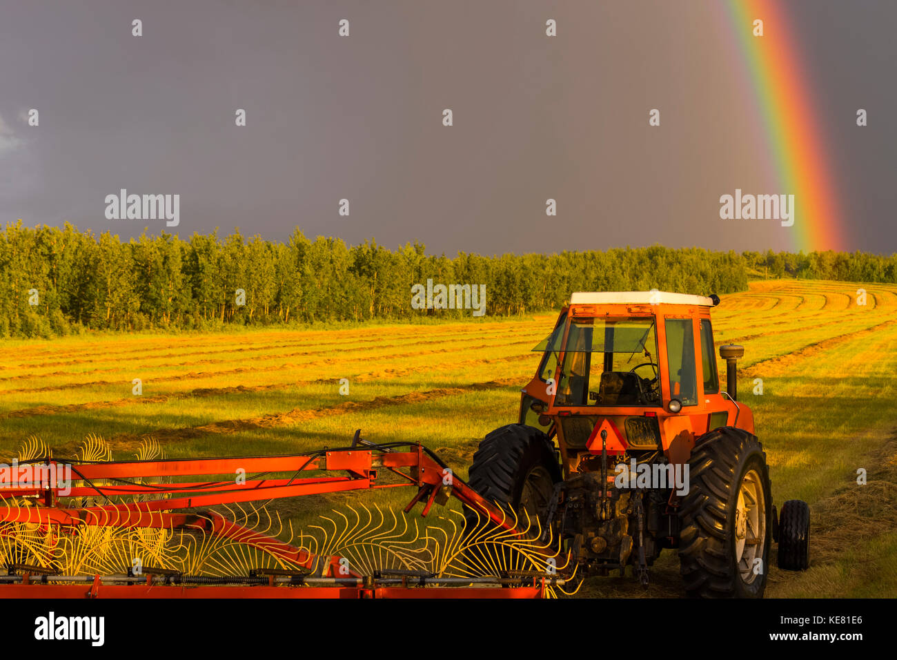A rainbow appears over a tractor and a freshly raked field of hay ...