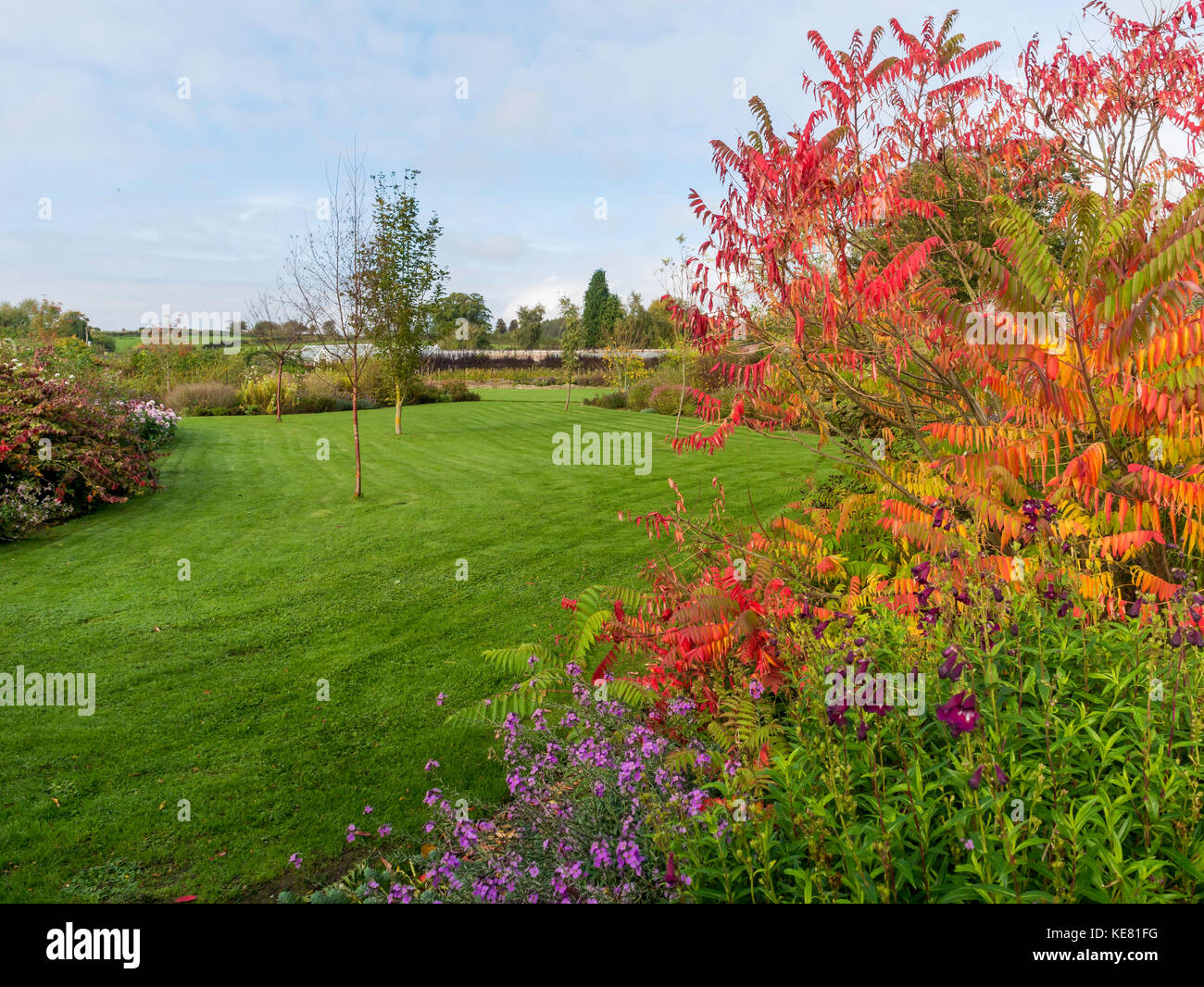 Early autumn flowers hi-res stock photography and images - Alamy