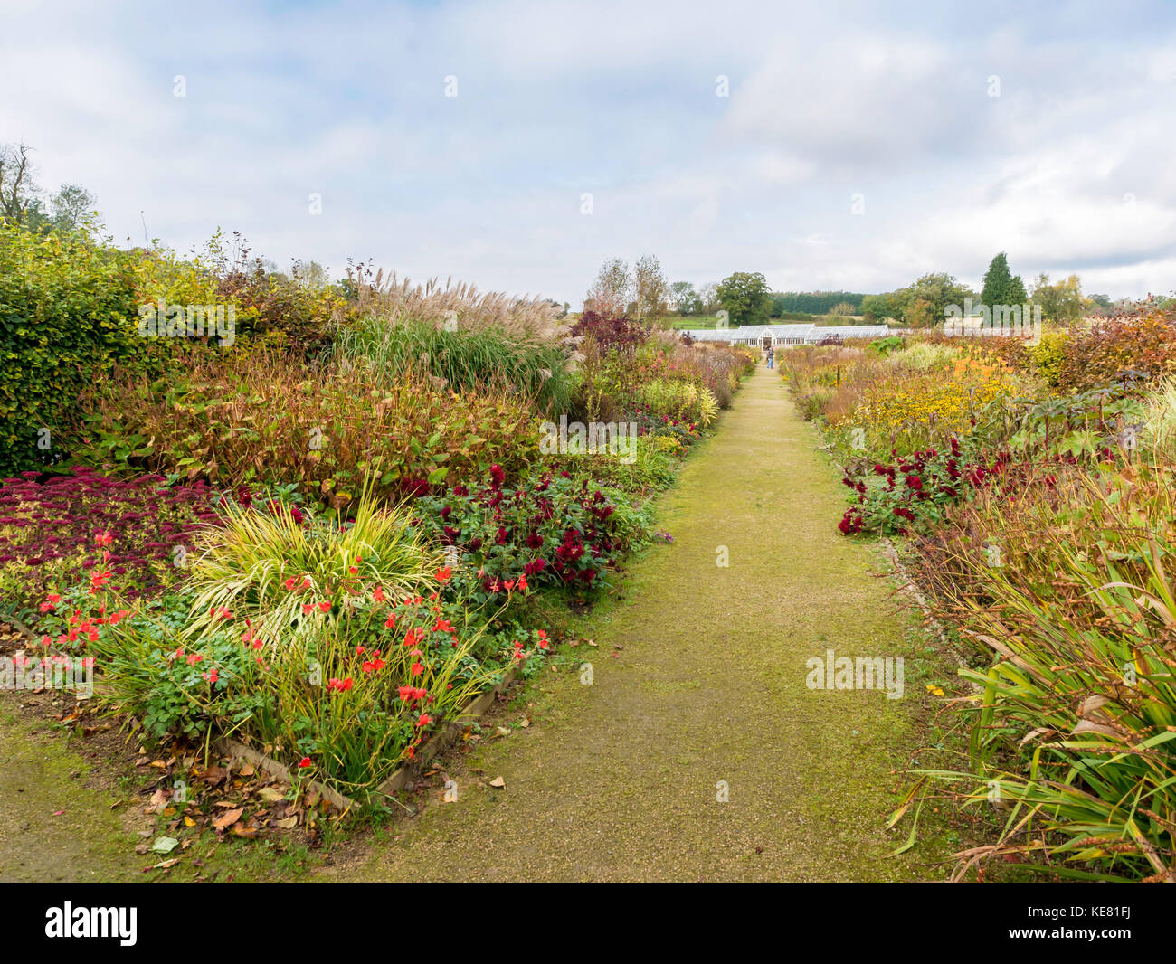 Helmsley Walled Garden with a show of early autumn flowers Stock Photo ...