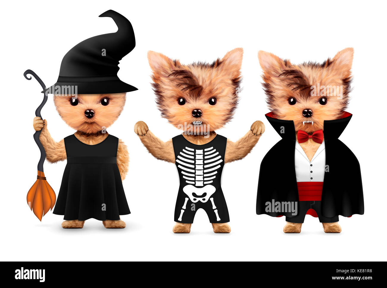 Dracula, devil and witch. Halloween and Dead day Stock Photo - Alamy