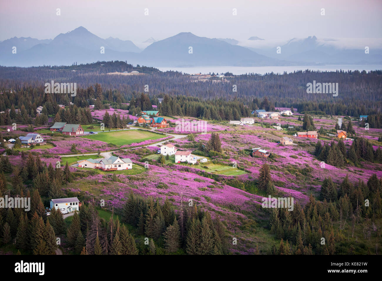 Aerial View Of Diamond Ridge And Fields Of Fireweed With The Kenai ...