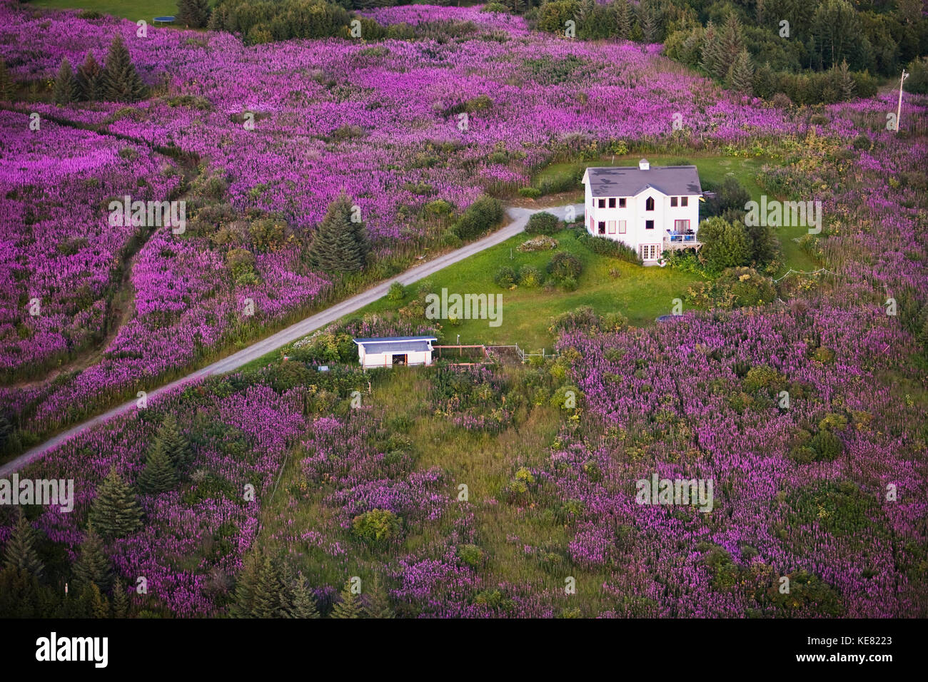 Aerial View Of A Residential Home Surrounded By Fireweed On Diamond ...