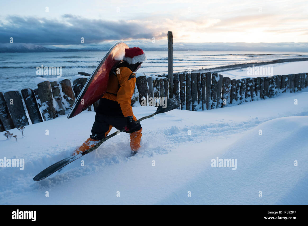 Kayak surfer carrying a paddle and kayak in winter along the snow ...