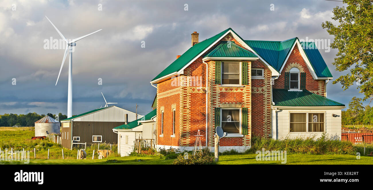 A farmhouse with a barn, silo and wind turbine behind it and cattle ...