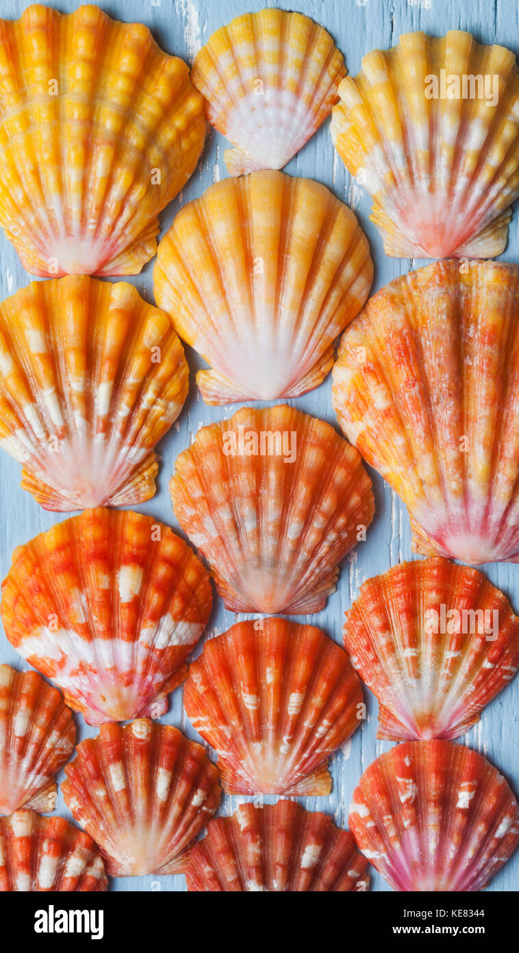 Hawaii background hi-res stock photography and images - Alamy