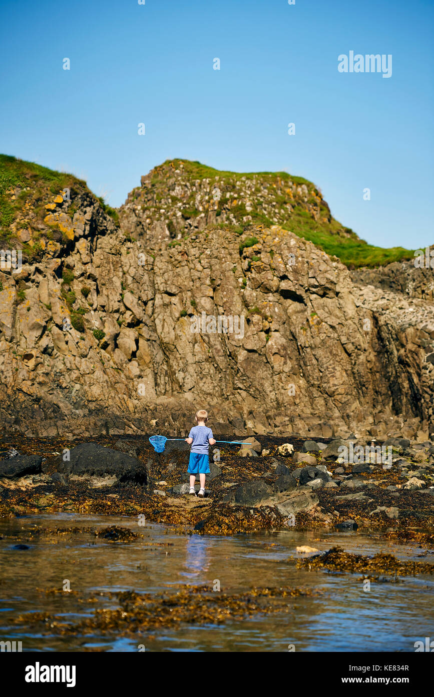 Exploring a tide pool hi-res stock photography and images - Alamy