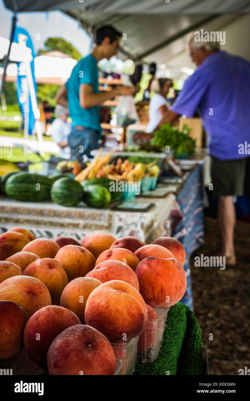 Shoppers at local farmers market, fresh vegetables and fruit Stock ...