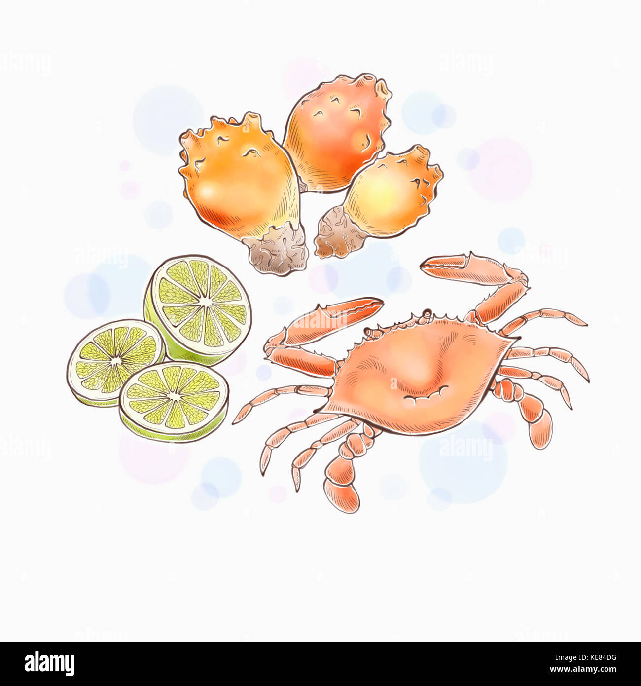 Seafood such as crab and sea squirts Stock Photo - Alamy