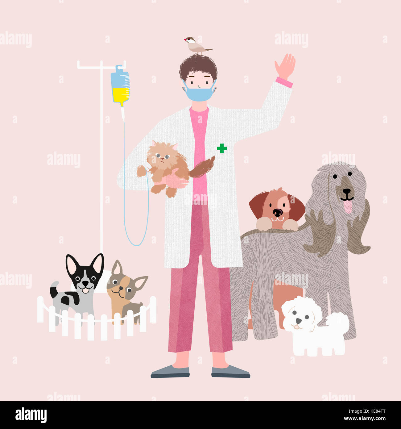 Smiling male animal doctor Stock Photo - Alamy