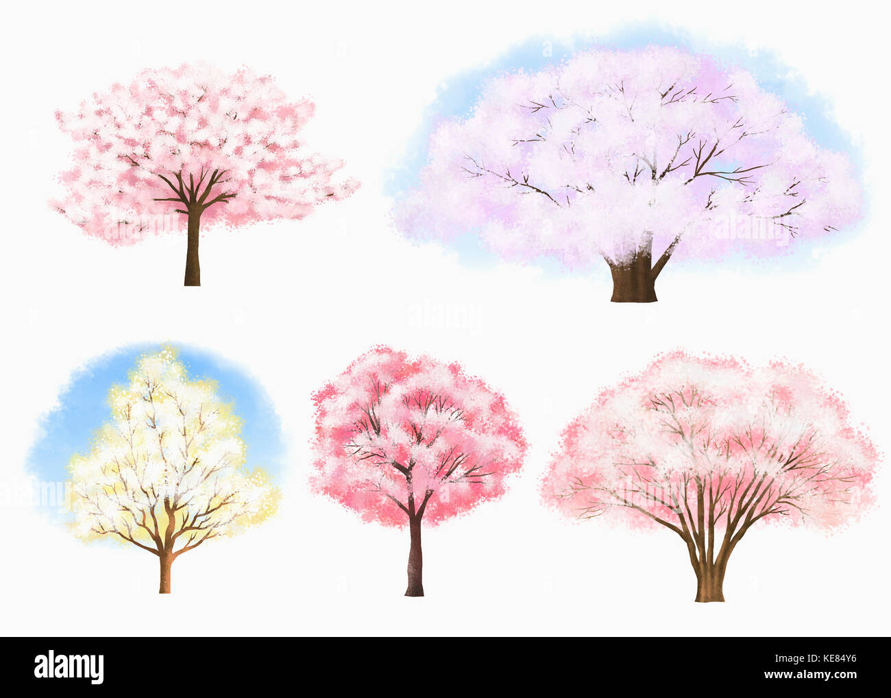 Set of various spring flower trees Stock Photo - Alamy