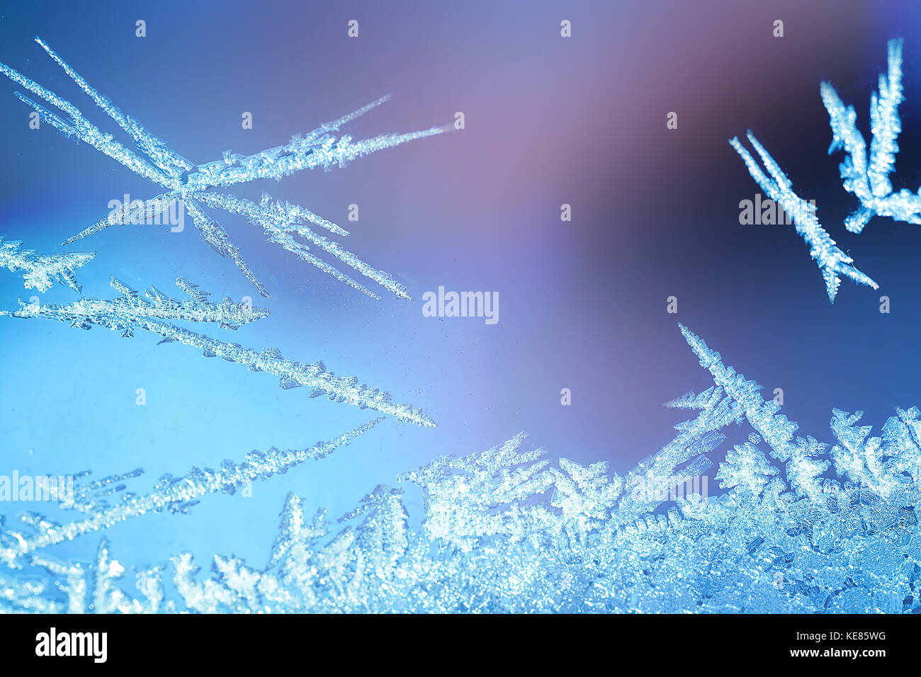 Frozen windows hi-res stock photography and images - Alamy