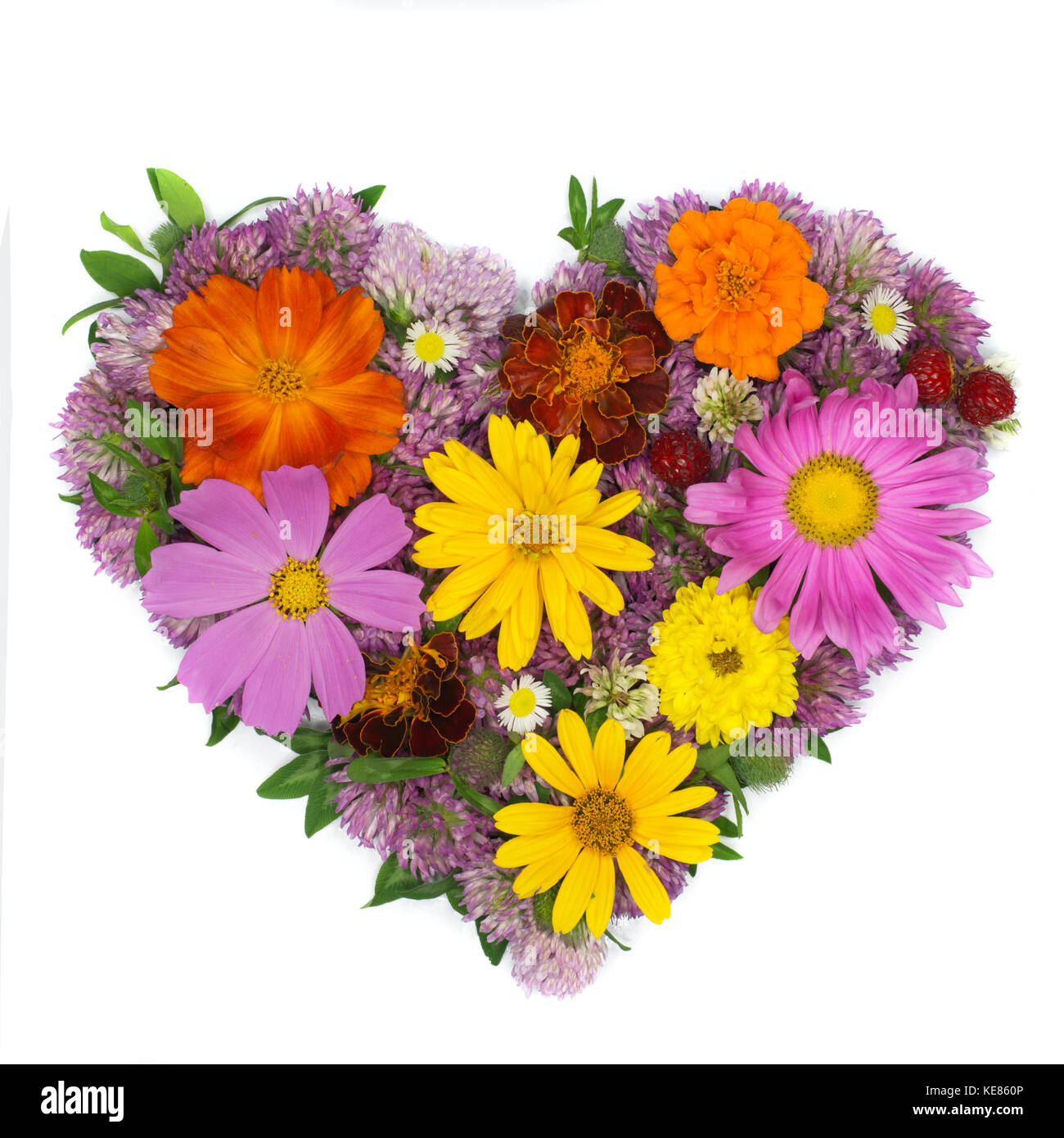 Flowers arranged in heart shape as symbol of healthy life Stock Photo ...
