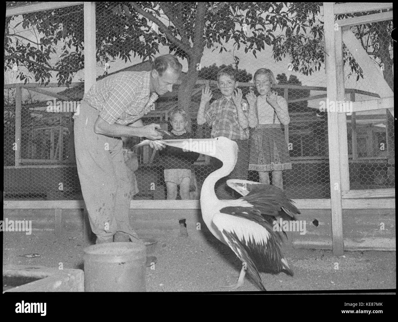 33012 Cary Bay zoo Stock Photo - Alamy