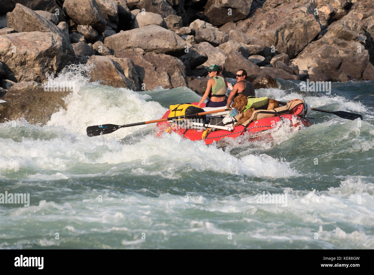 Rafting down Snow Hole Rapids with a dog on Idaho's lower Salmon River ...
