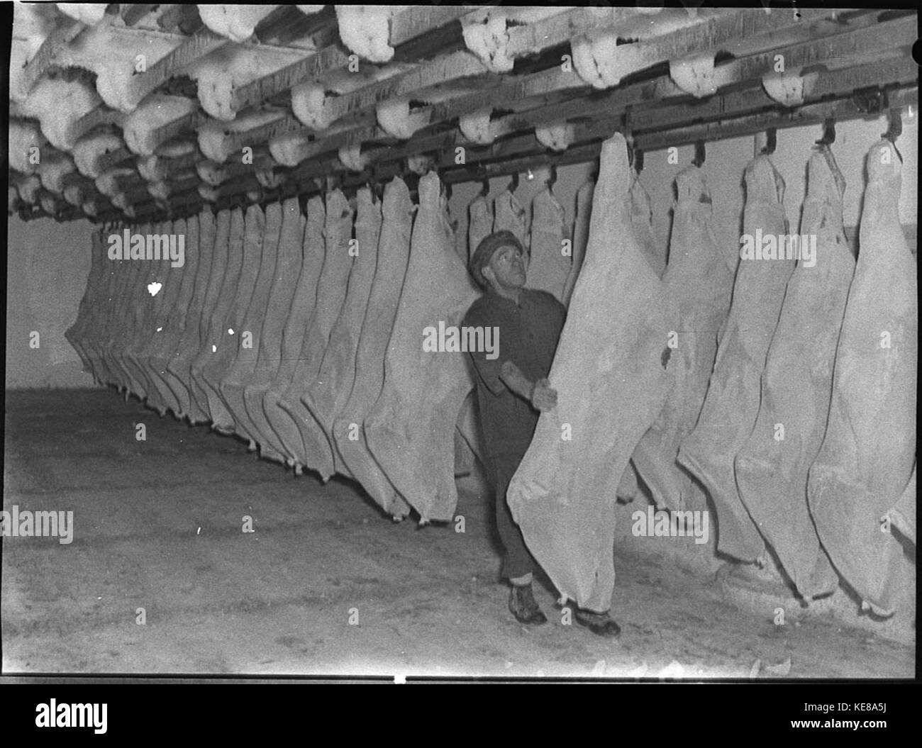 Historical farming statistics Black and White Stock Photos & Images - Alamy