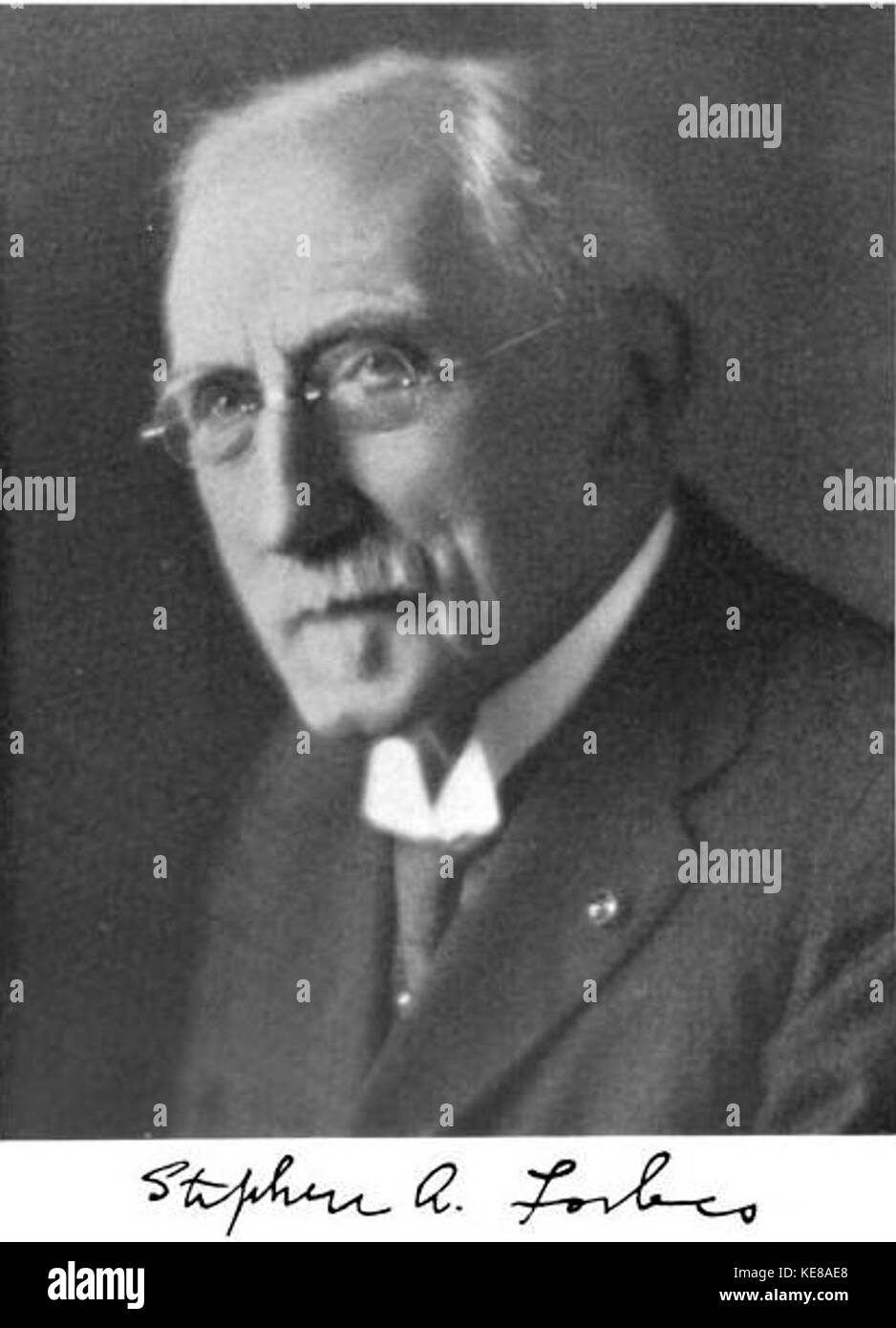 Stephen Alfred Forbes 001 Stock Photo - Alamy