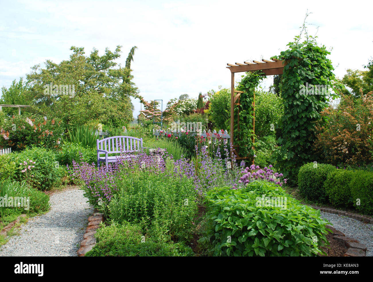 Plants pacific northwest border hi-res stock photography and images - Alamy