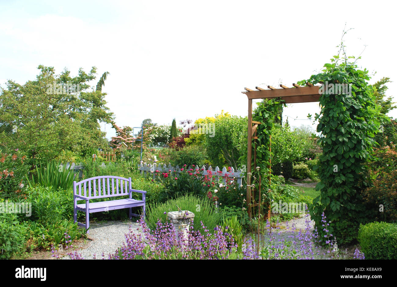 Plants pacific northwest border hi-res stock photography and images - Alamy