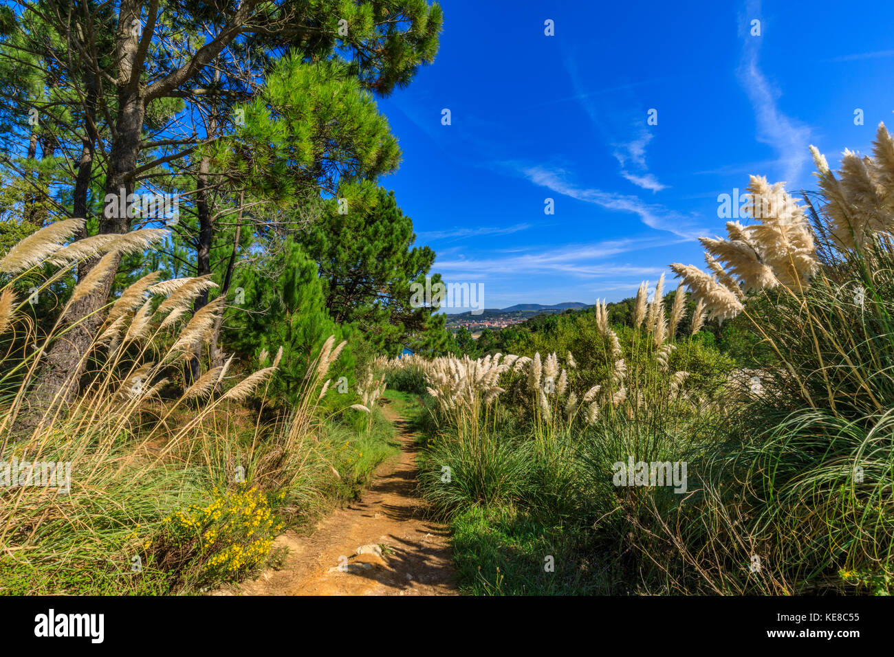 Coastal footpaths hi-res stock photography and images - Alamy