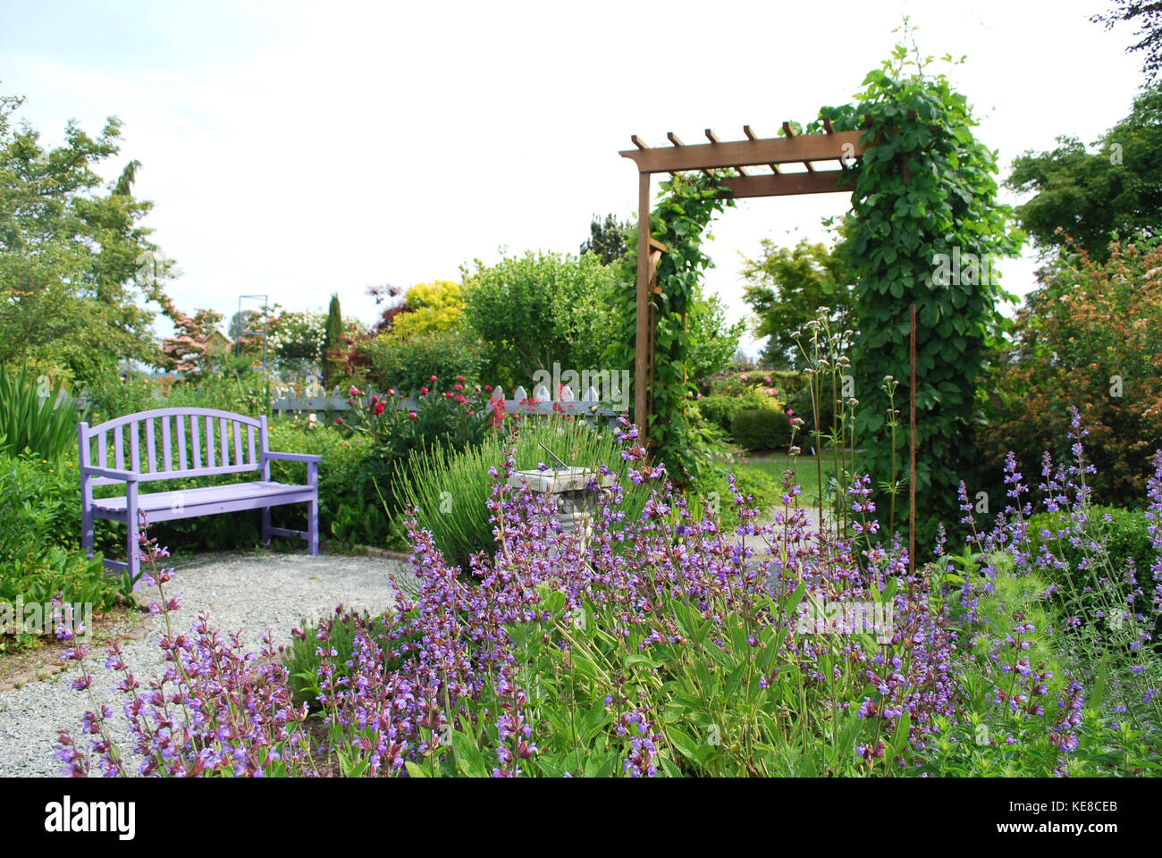 Plants pacific northwest border hi-res stock photography and images - Alamy