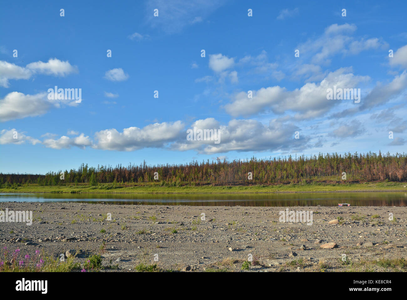 Northern river landscape. Summer in the Polar Urals in Russia Stock ...