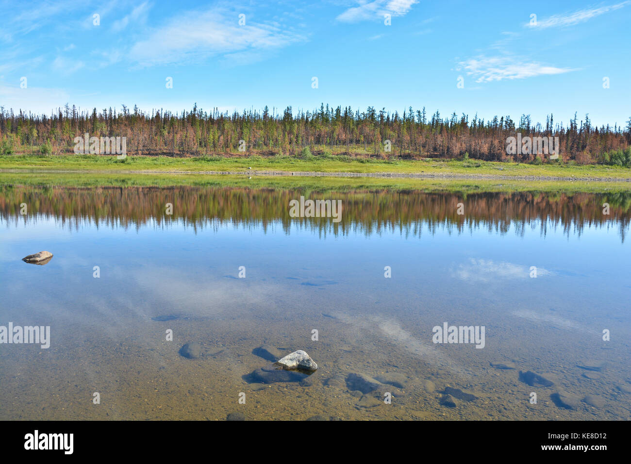 Northern river landscape. Summer in the Polar Urals in Russia Stock ...
