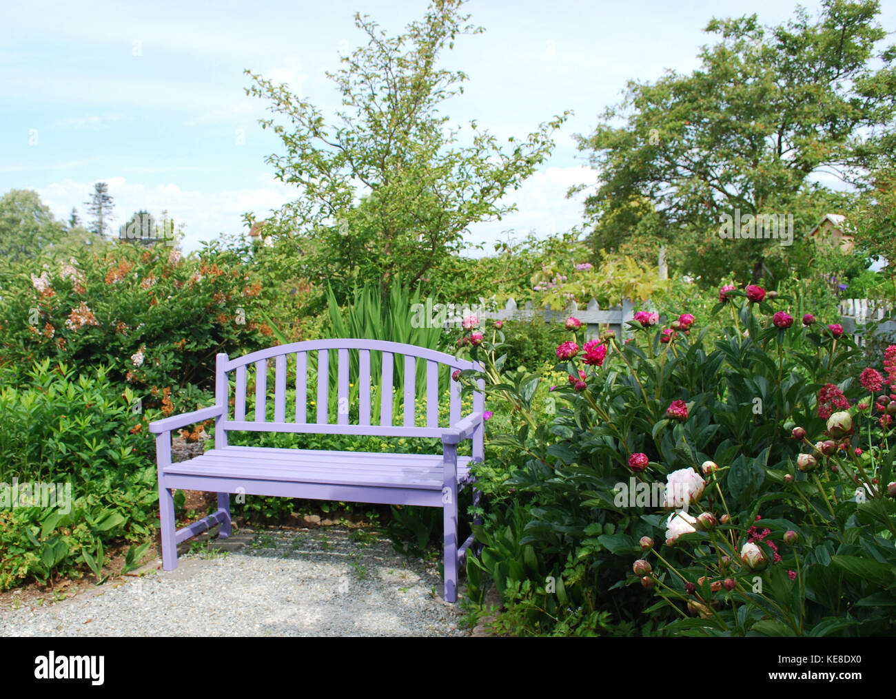 Plants pacific northwest border hi-res stock photography and images - Alamy