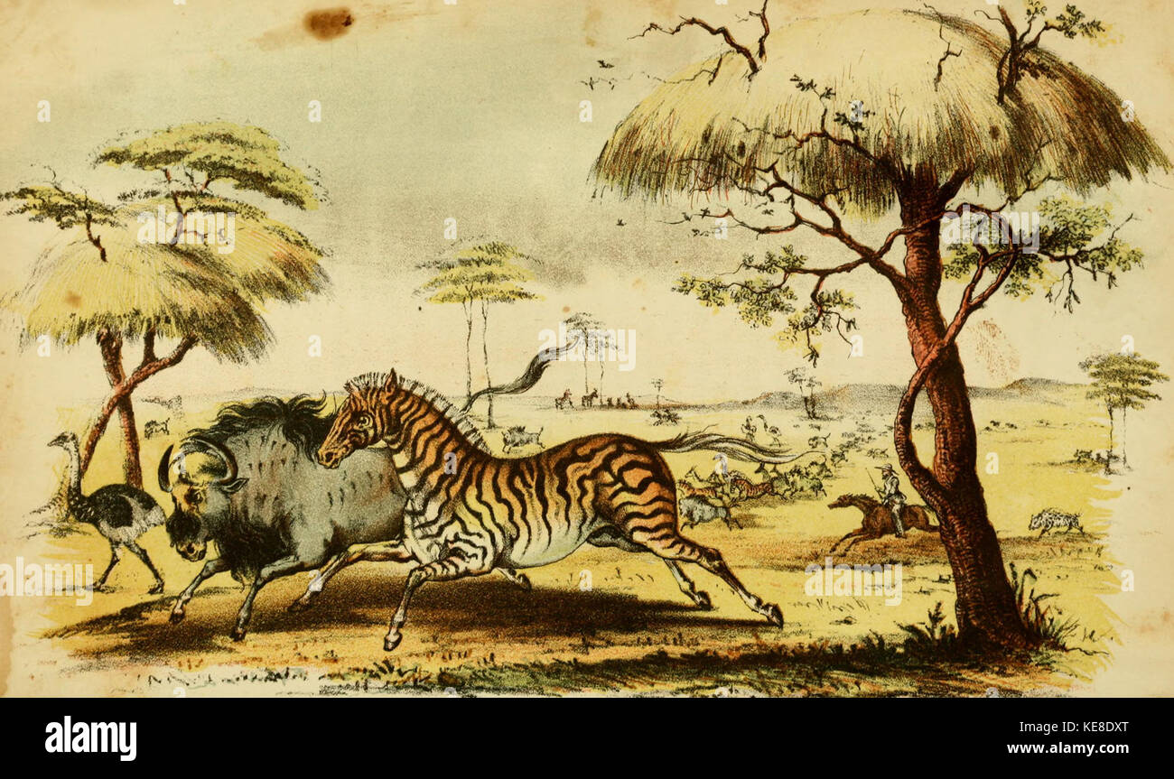 'Wild Scenes and Wild Hunters of the World' (1852) showcases various ...