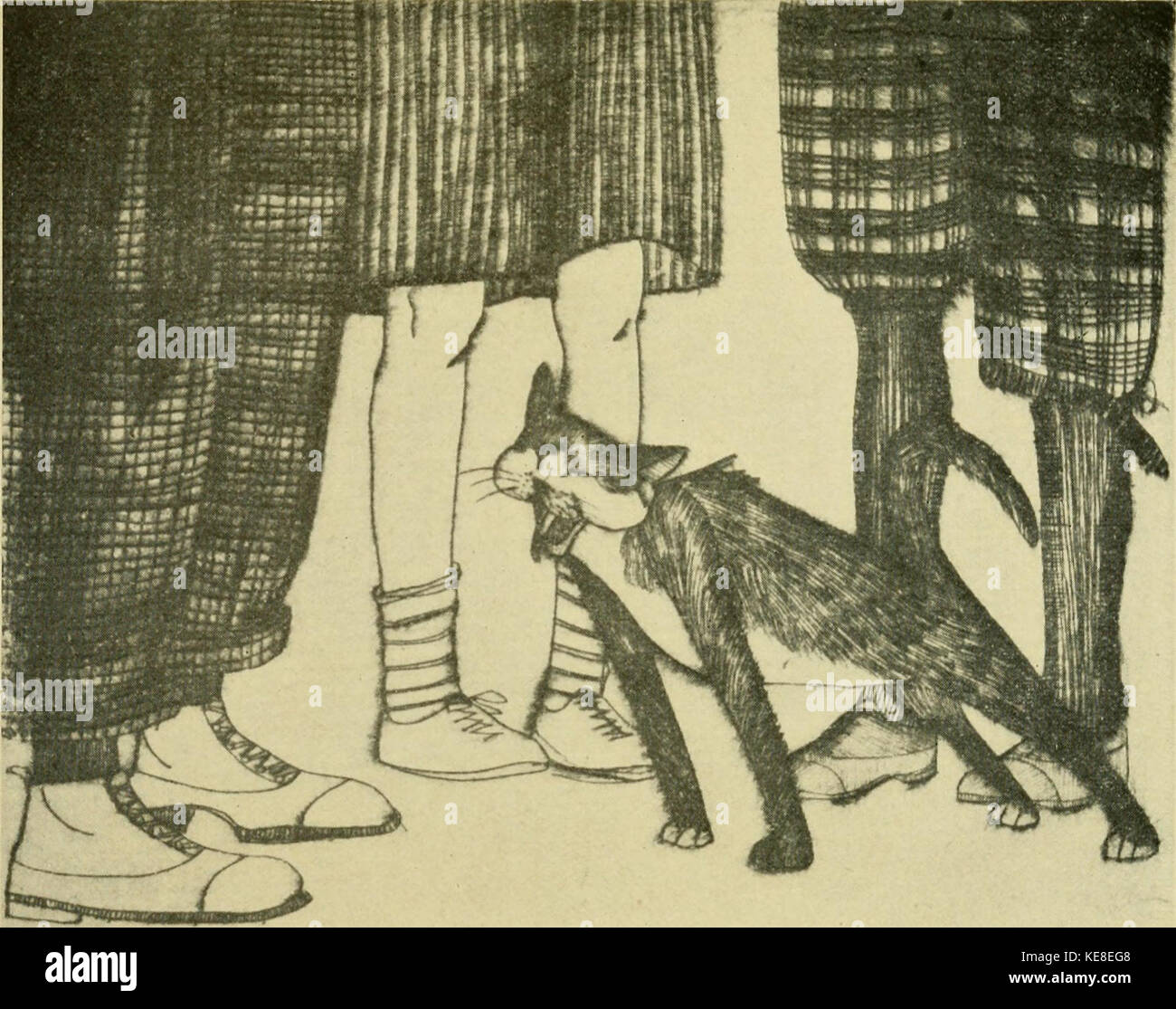 The true philosopher and other cat tales (1919) (14593000960 Stock ...