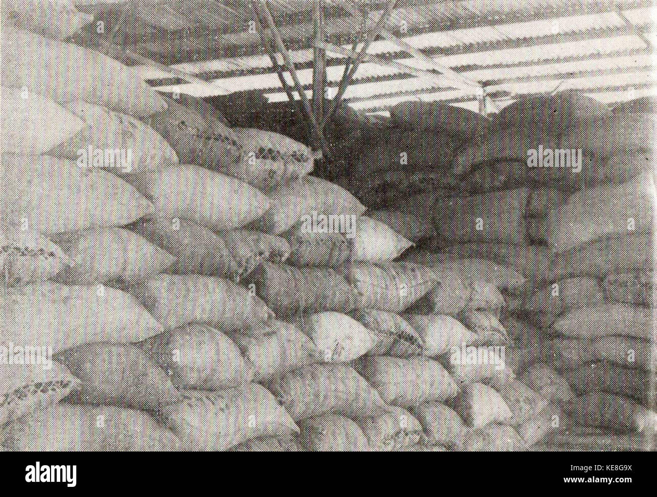 Copra bags, Kami Memperkenalkan Maluku dan Irian Barat, p16 Stock Photo ...