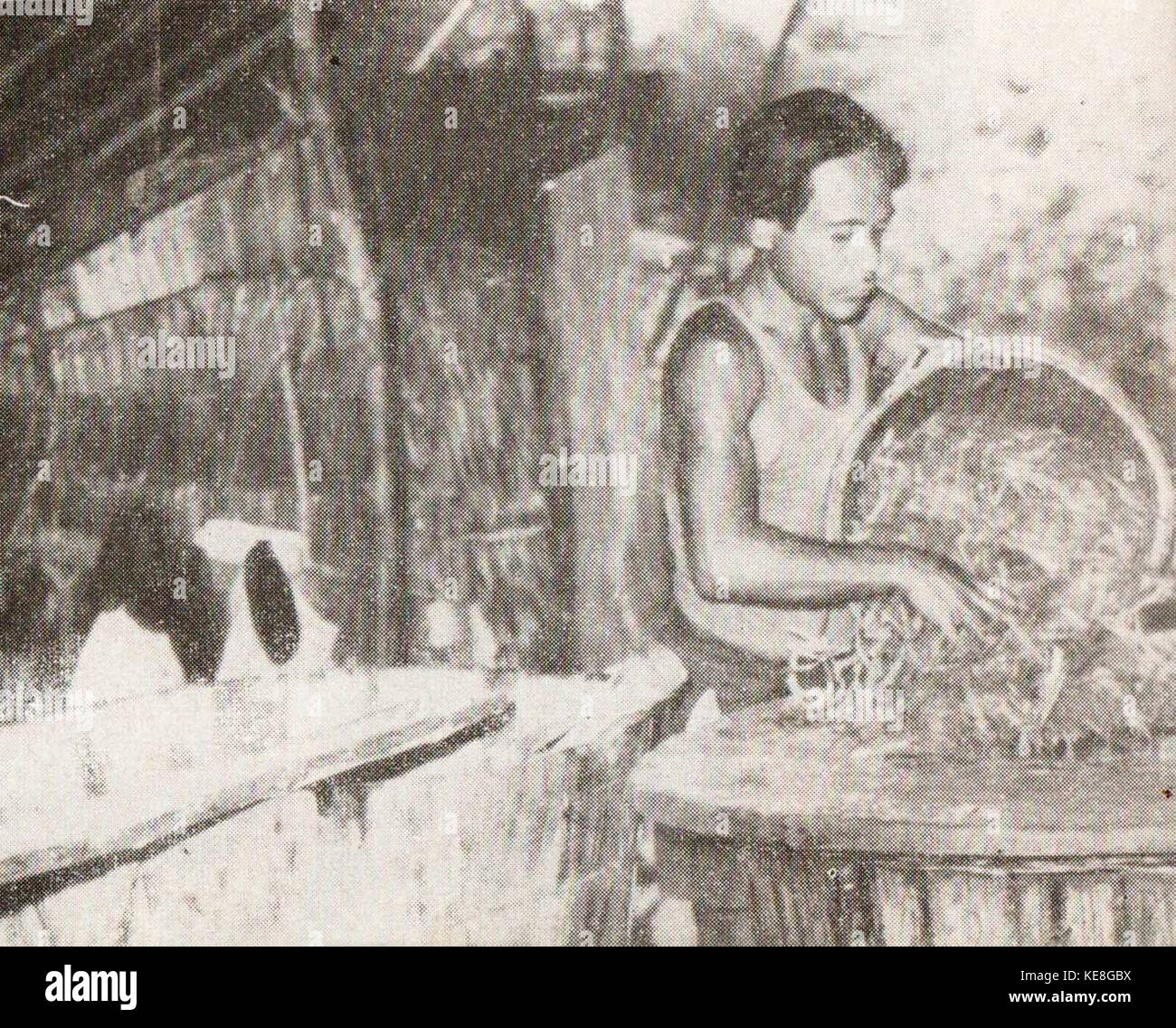 Boiling plants hi-res stock photography and images - Alamy
