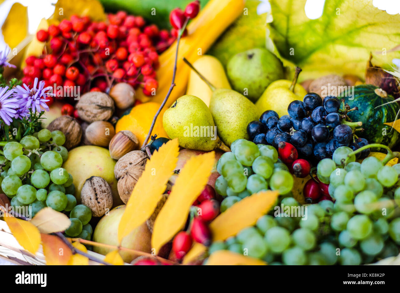 group of colorful autumn fruits Stock Photo - Alamy