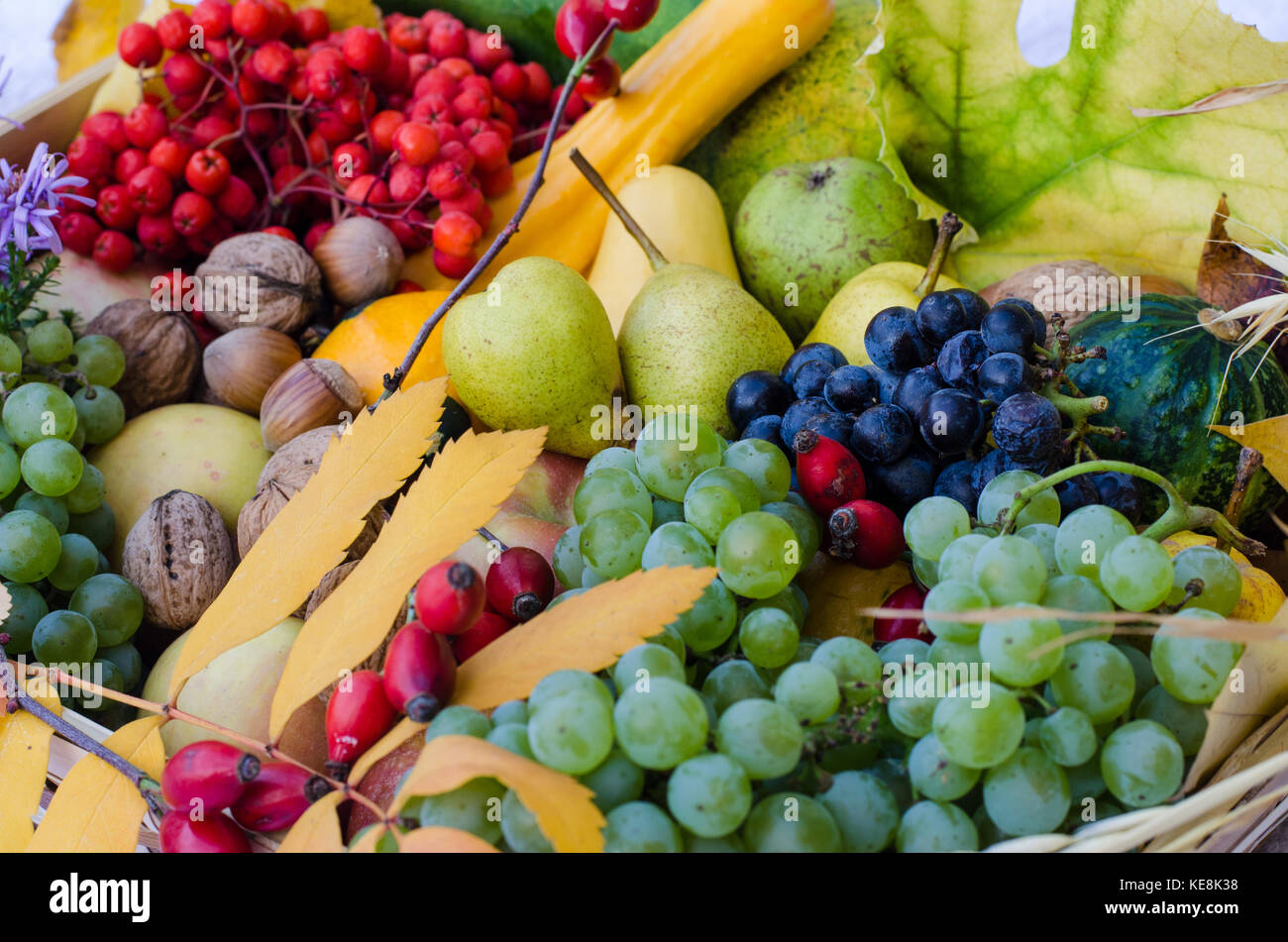 group of colorful autumn fruits Stock Photo - Alamy