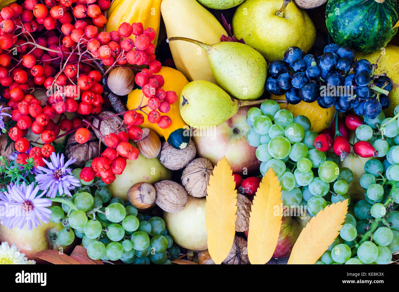 group of colorful autumn fruits Stock Photo - Alamy