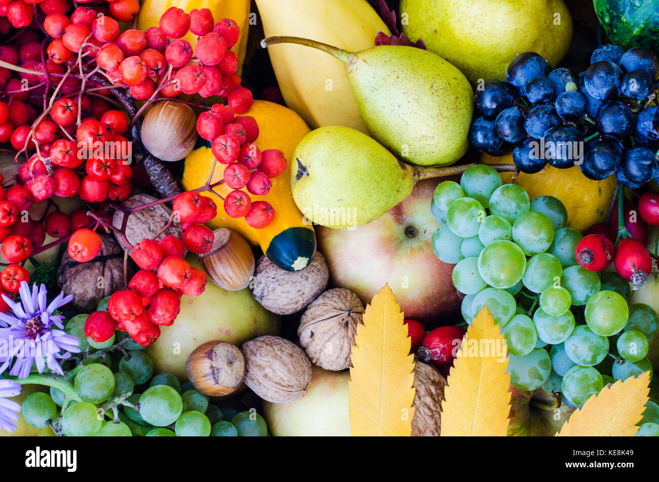 group of colorful autumn fruits Stock Photo - Alamy