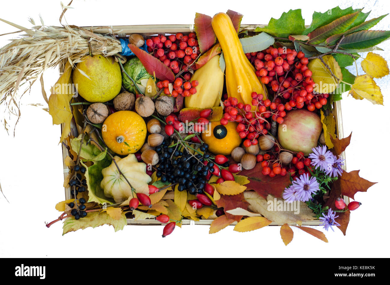 group of colorful autumn fruits Stock Photo - Alamy