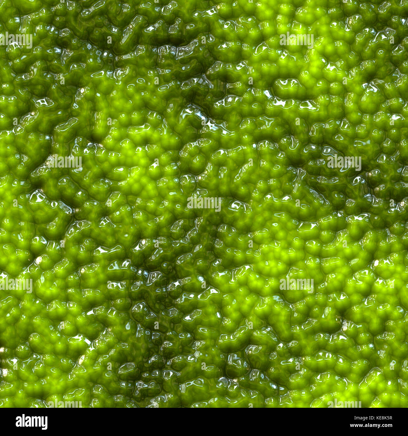 Skin Bacteria Microscope High Resolution Stock Photography and Images ...