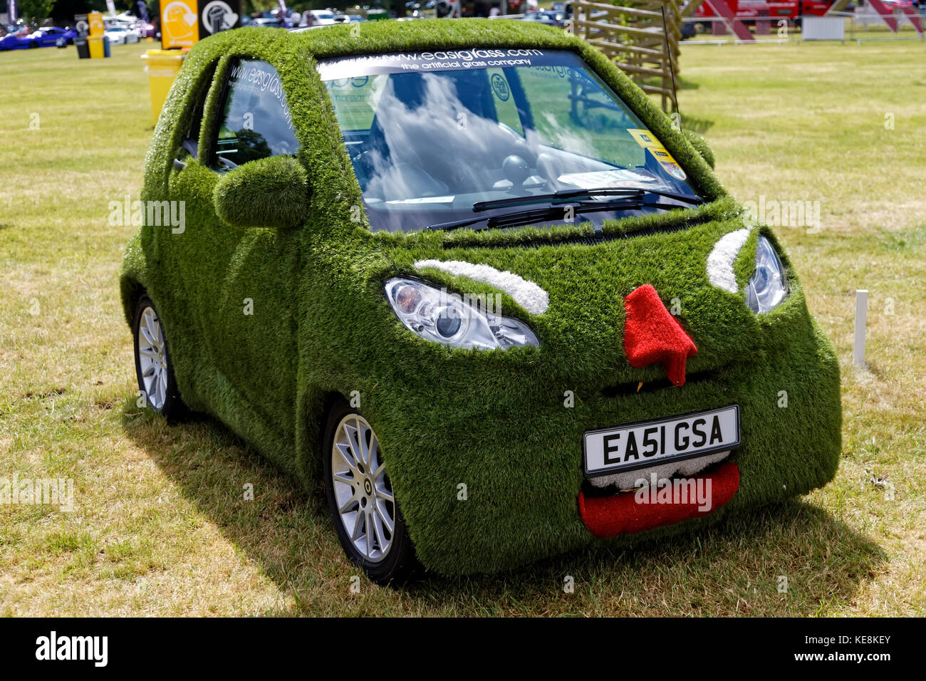 Car covered grass hi-res stock photography and images - Alamy