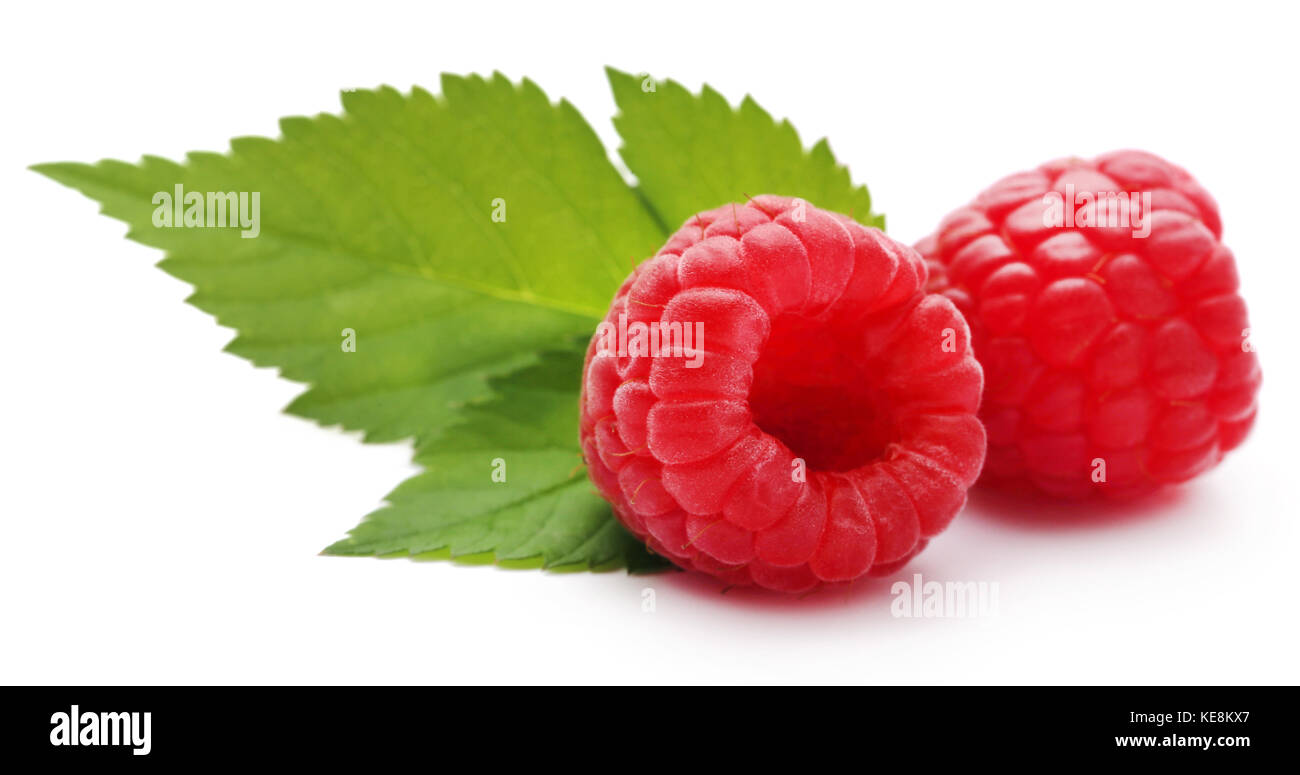 Fresh Raspberry over white background Stock Photo - Alamy