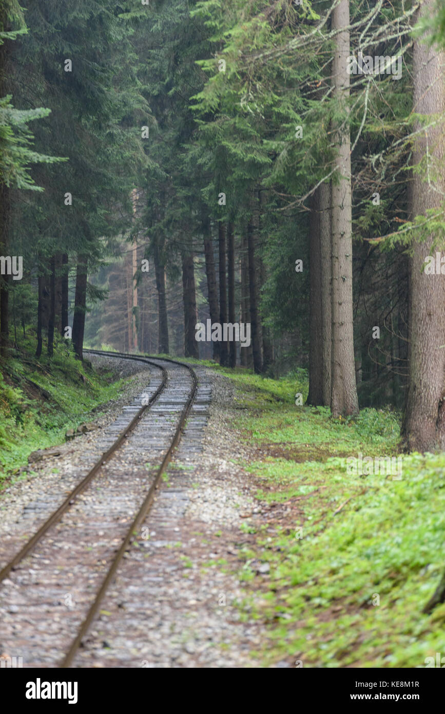wavy railroad tracks in wet summer day in forest with green meadow on ...