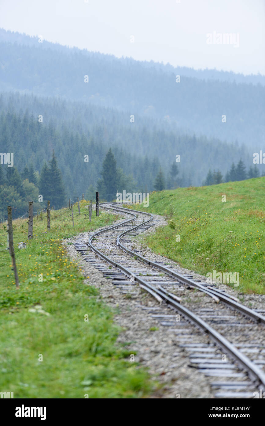 wavy railroad tracks in wet summer day in forest with green meadow on ...