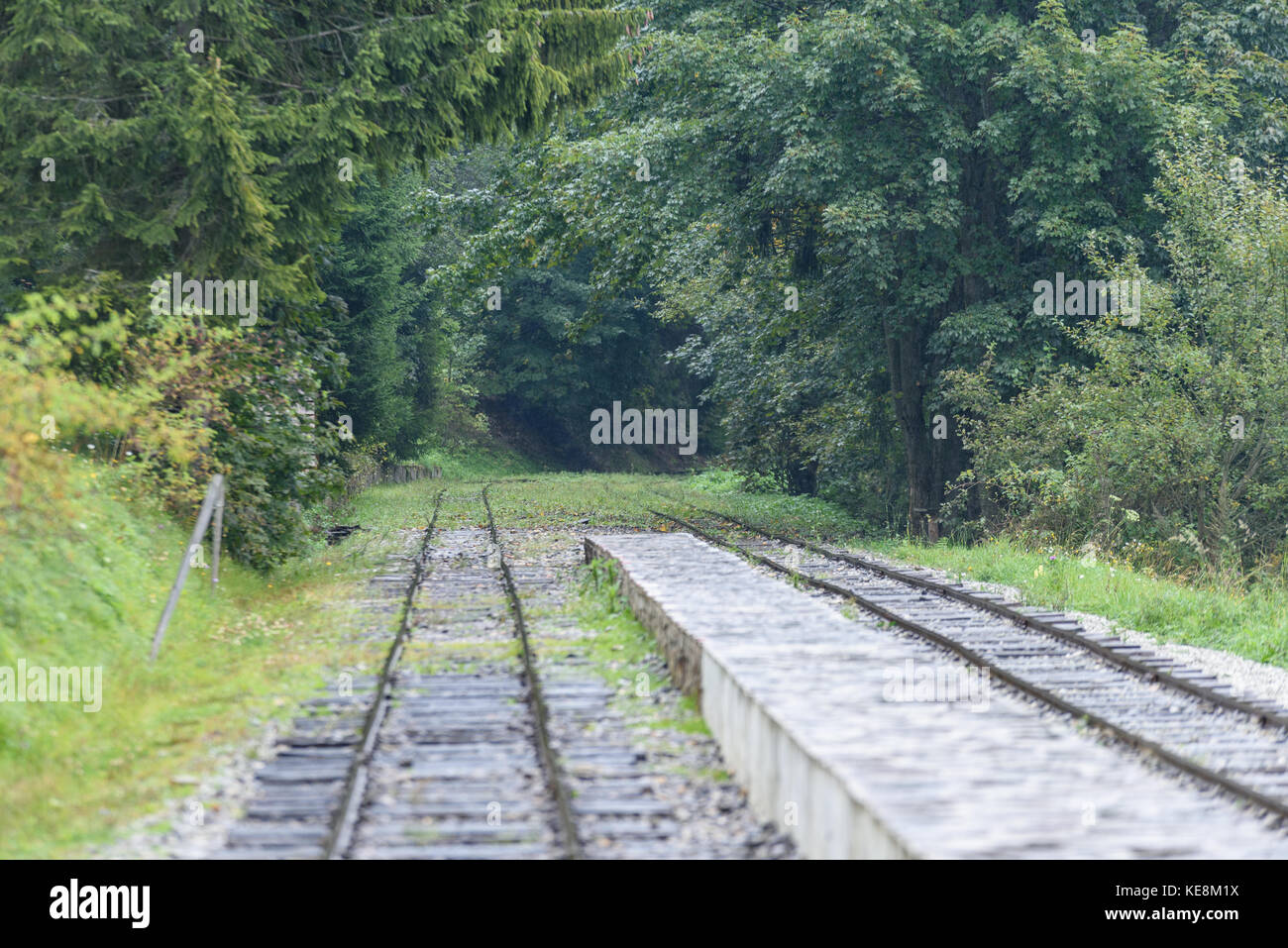 wavy railroad tracks in wet summer day in forest with green meadow on ...