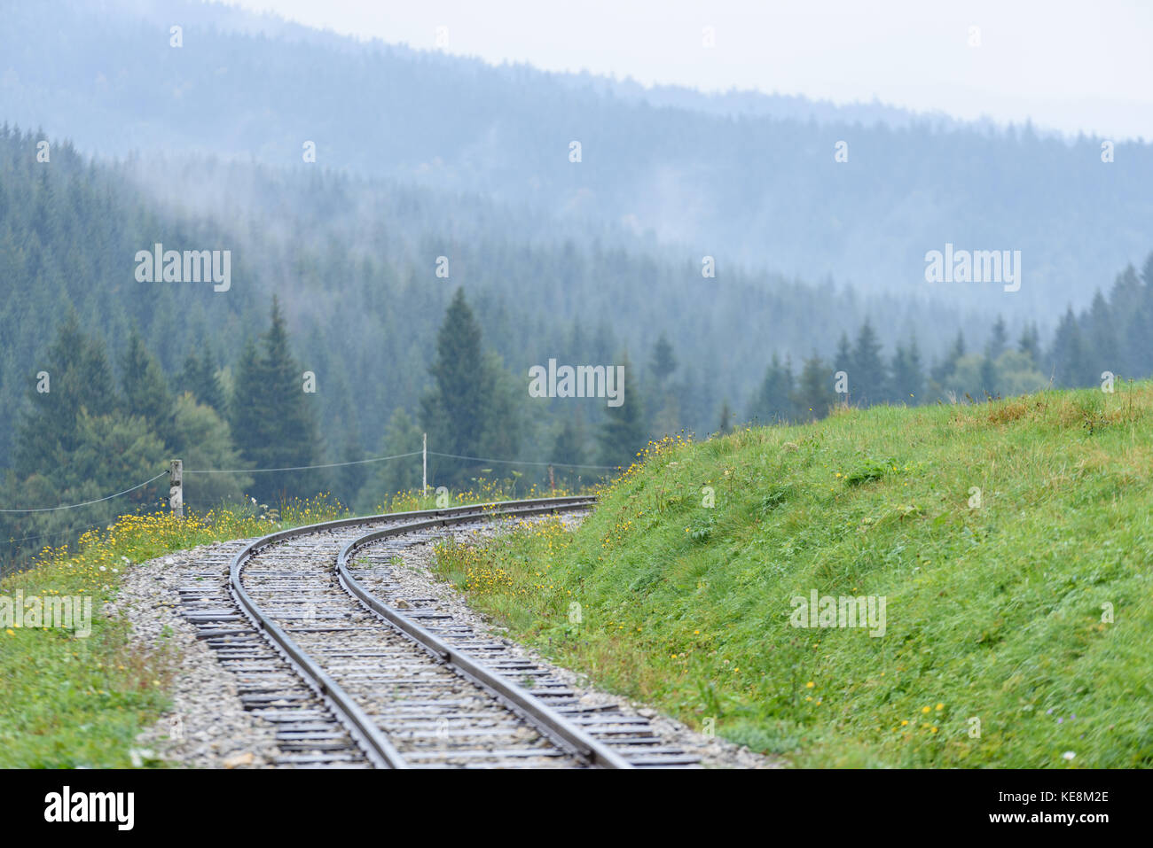 wavy railroad tracks in wet summer day in forest with green meadow on ...